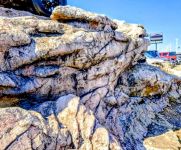 Mango Rock International